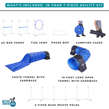 Agility Sets – Better Sporting Dogs