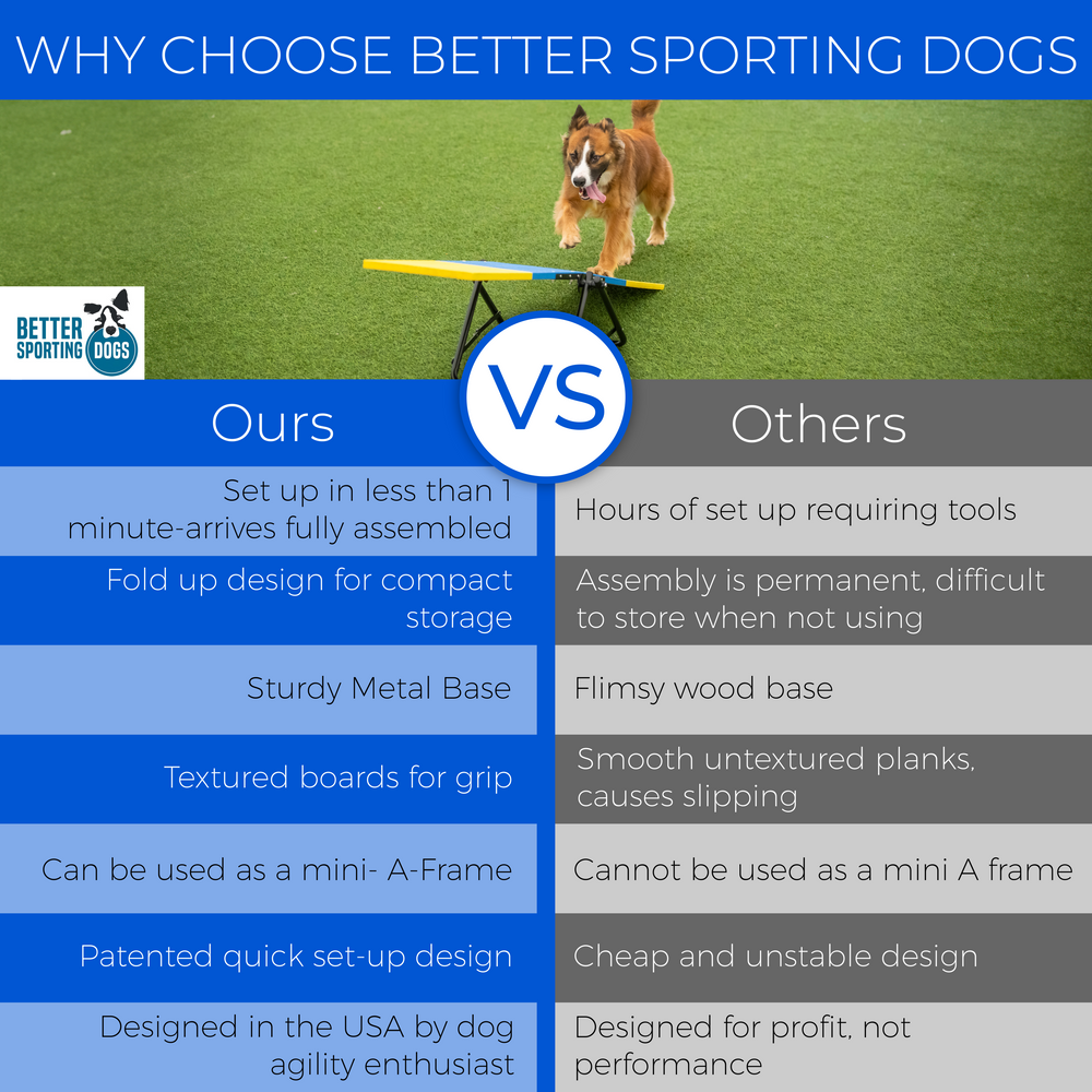 Practice See Saw | Dog Agility Teeter