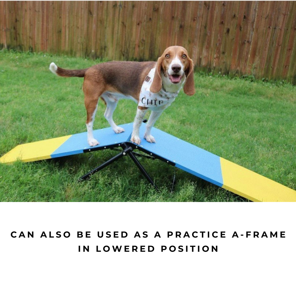 Practice See Saw | Dog Agility Teeter